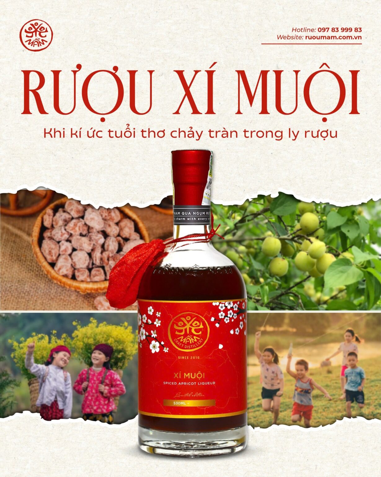Tet Comes Home, Tet Choose Spiced Apricot - mamdistillery